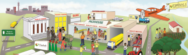 Timbali – Technology Incubator