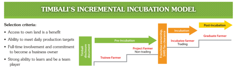 Our Model – Timbali