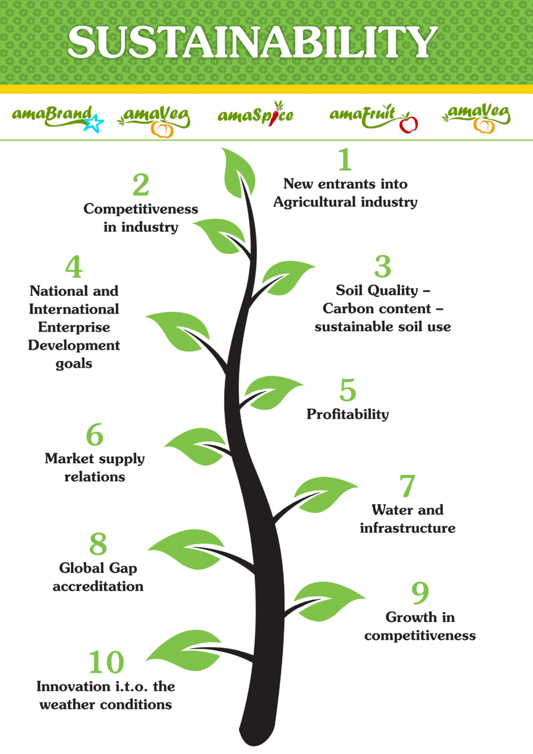 Our Impact – Timbali