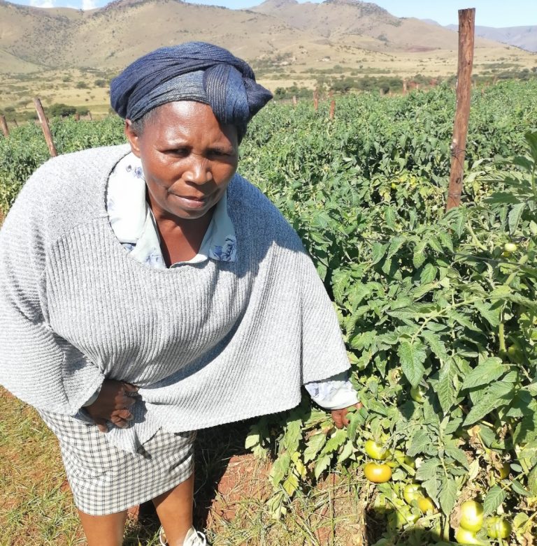 Phindile Nkosi – Timbali